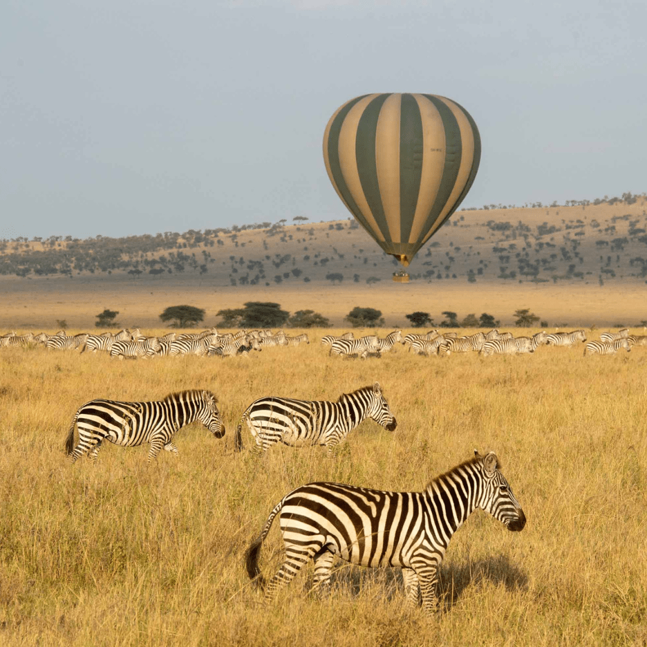 First-Time Tanzania Travel Guide: Luxury Visas, Safaris & Culture (2026)